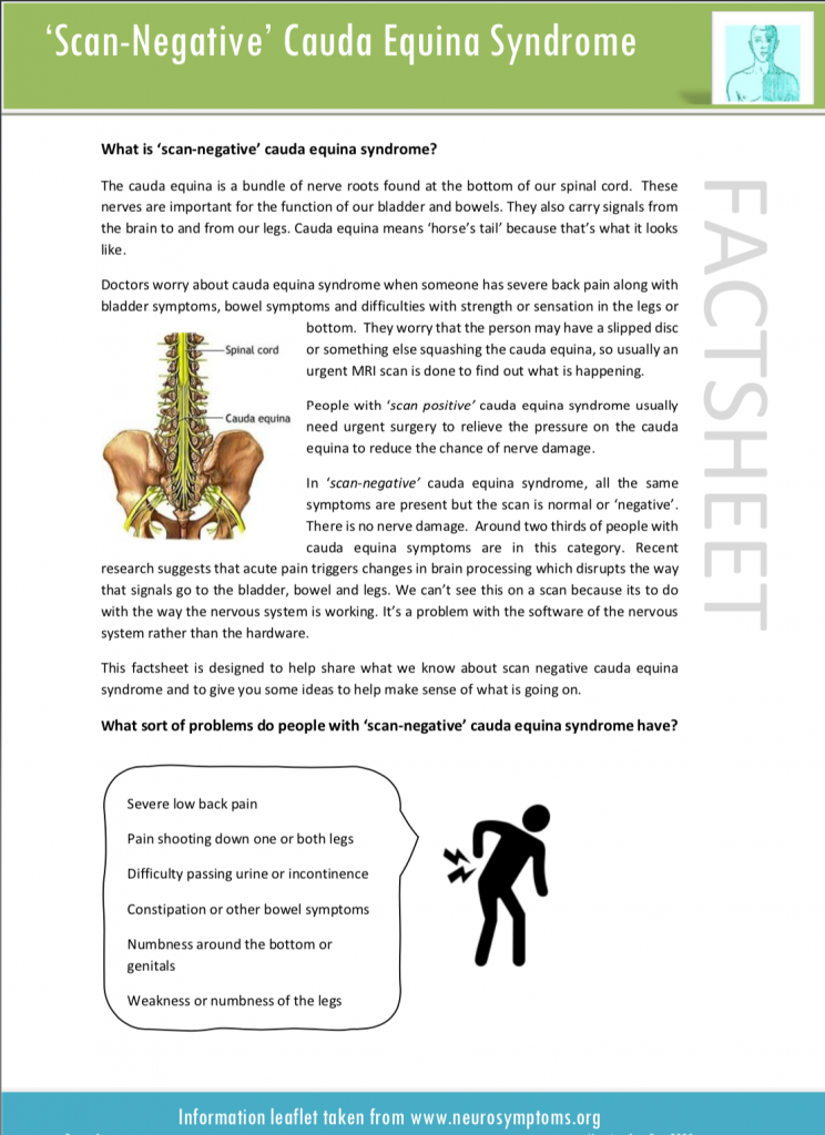 Bladder symptoms and FND – Functional Neurological Disorder (FND)